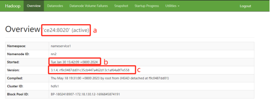 TDH社区版HDFS组件Namenode 50070端口页面内容解析 - 星环开发者社区